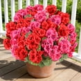Artificial Geranium Flowers Red and Rose Red 6 Count Outdoor Indoor ...