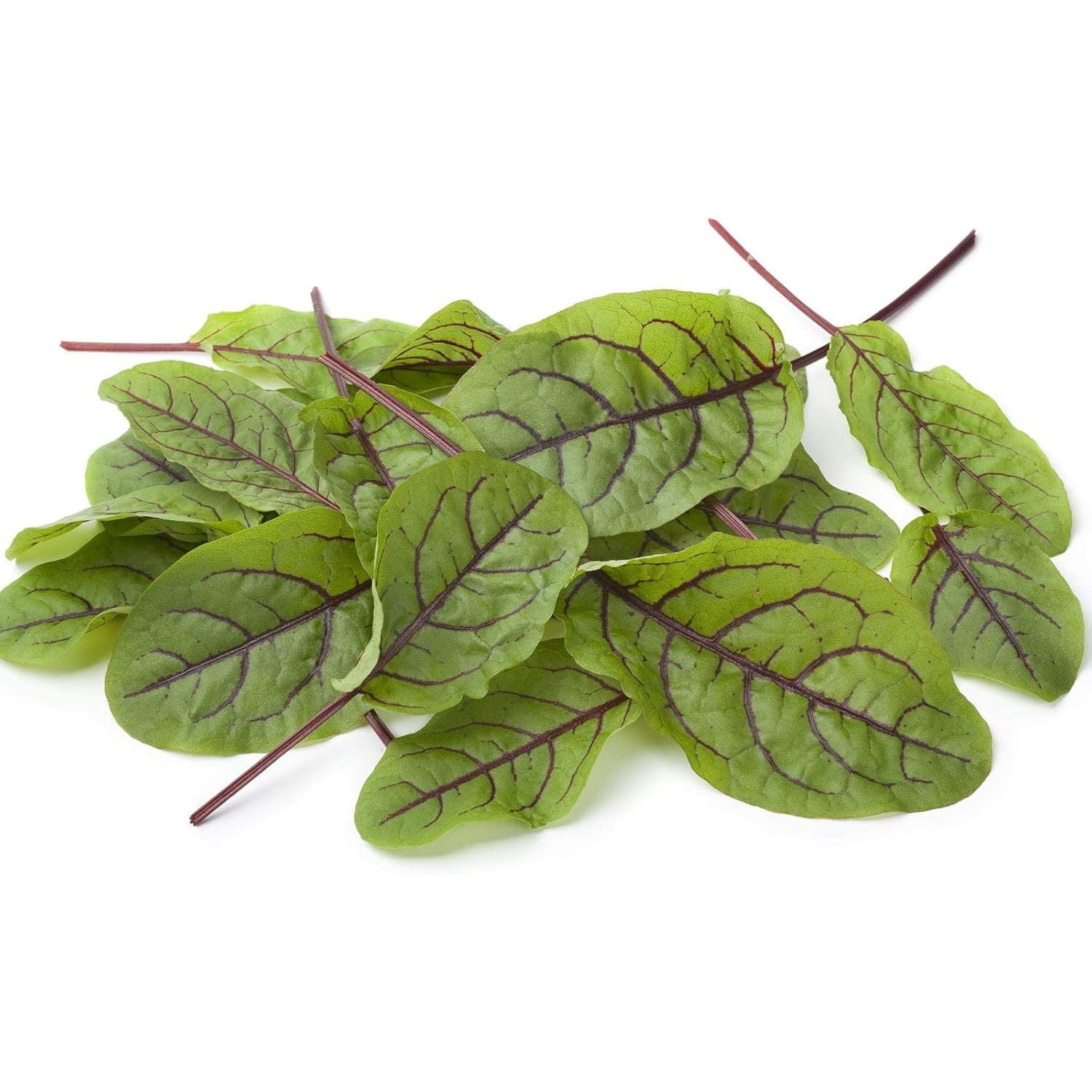 Waterproof Easy-Clean Solid Grass 3x5 Indoor/Outdoor Artificial Grass ...