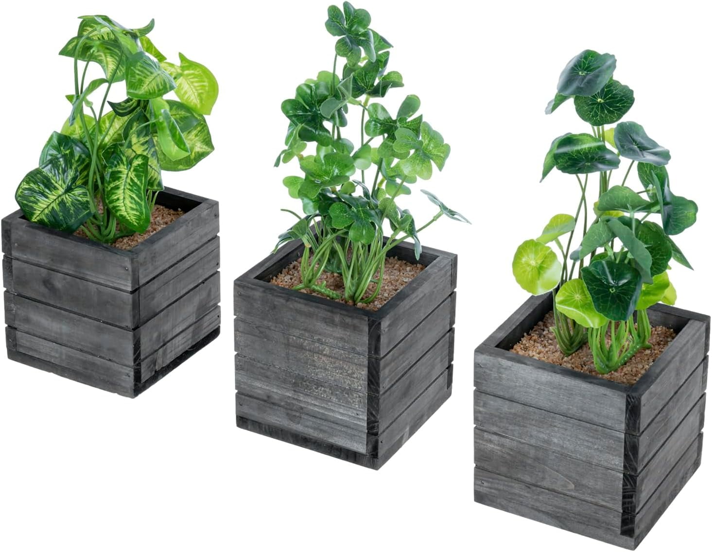 Artificial Green Grass Plants in Vintage Black Wood 4" Planter Box ...