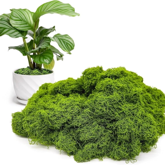 Artificial Green Moss, 17.64 Oz Fake Preserved Moss for Indoor Potted ...