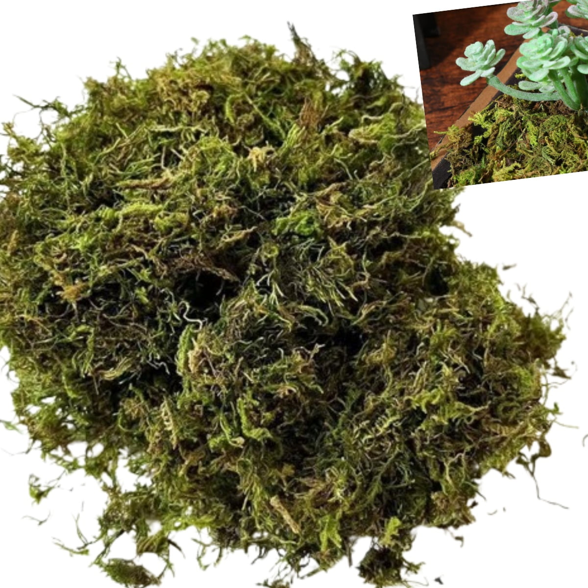 Artificial Green Moss for Crafts , 11 OZ Fake Moss for Decorating ...