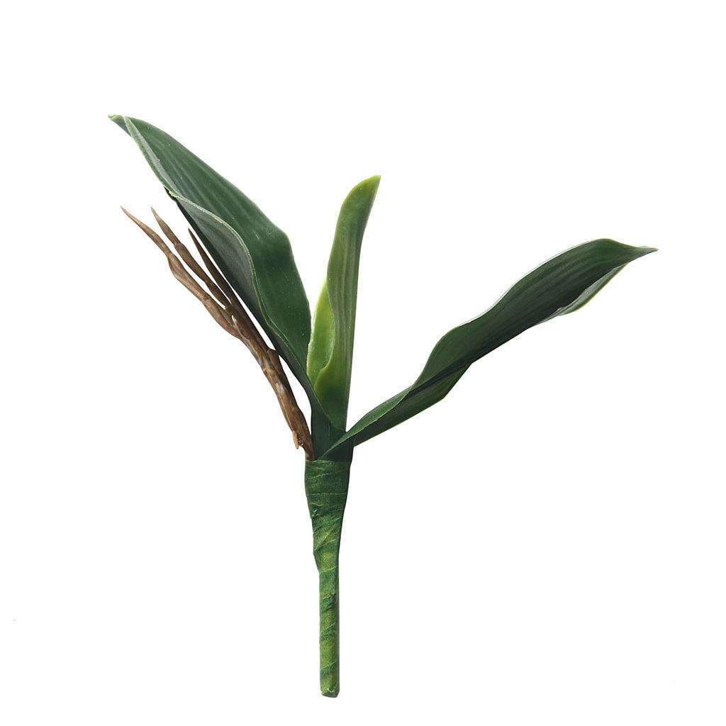 Artificial Green Phalaenopsis Fake Orchid Leaves Real Latex Touch ...