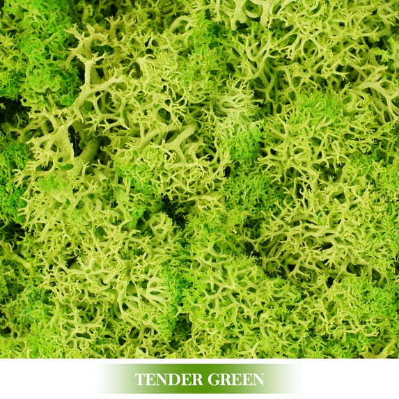 Artificial Green Plants Eternal Life Moss DIY Grass Garden Crafts Home ...
