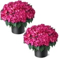 Artificial Hydrangea Topiary Trees Rose Red 2 Set Faux Silk Potted UV ...