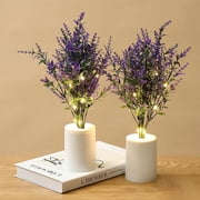 Lavender Led Lights