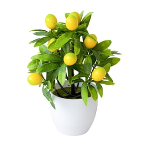 15.7 inches Faux Lemon Tree, Small Indoor Artificial Potted Plant with ...