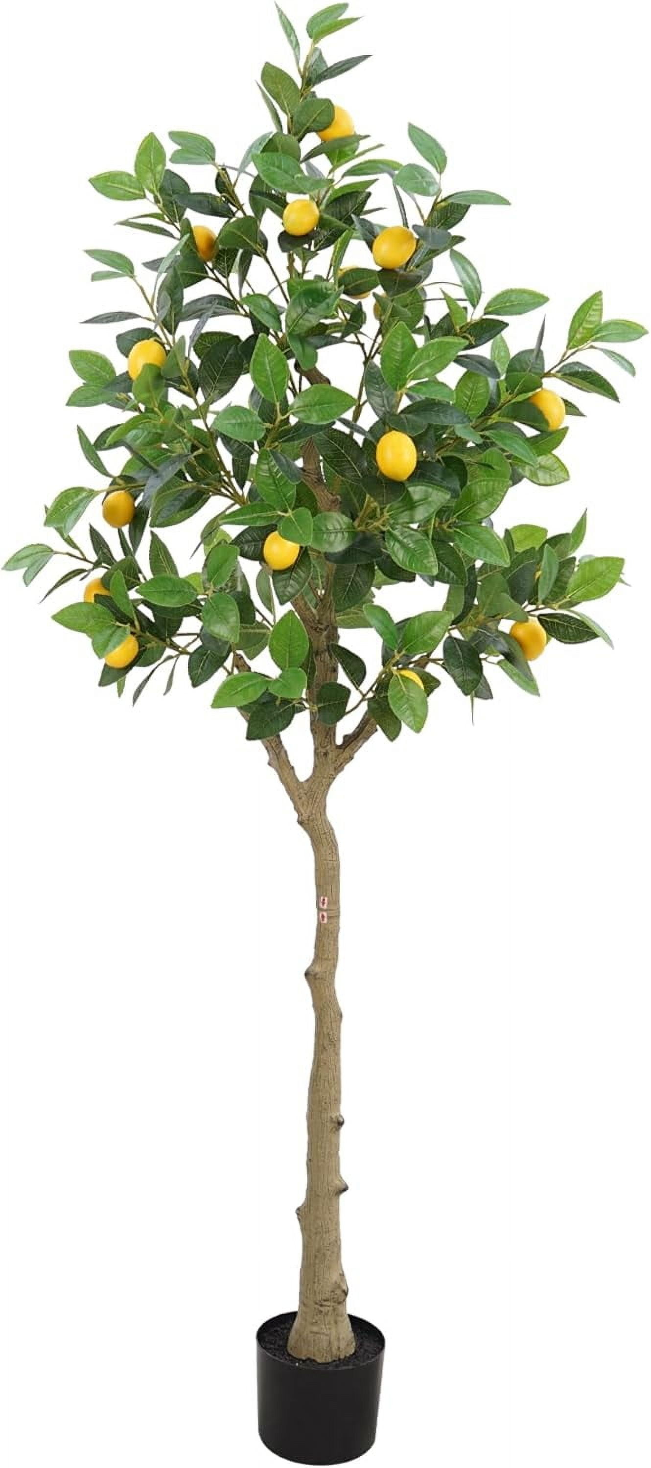 Artificial Lemon Trees – Nearly Natural Faux Plants Indoor, with Easy ...