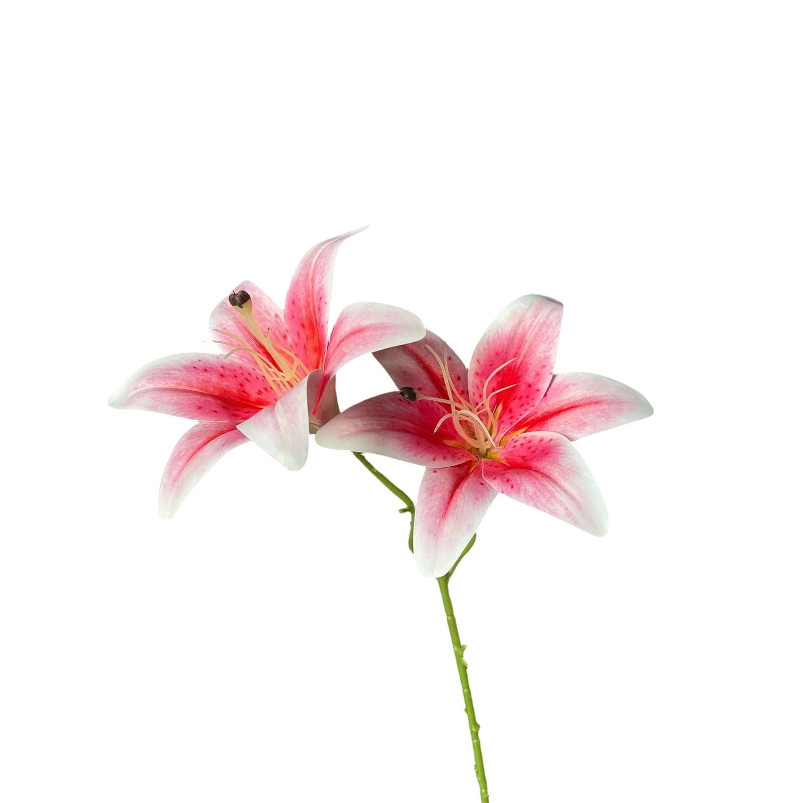 Artificial Lily Flowers 19.68 inch with Heads Lily & Buds, Long Stem ...
