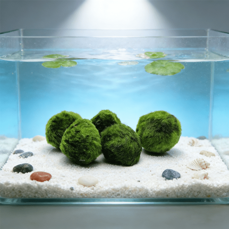 Artificial Marimo Moss Ball 3-4cm Green Aquarium Plant Ball Fake Algae ...