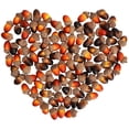 Artificial Mini Acorns Decorative Simulation Prop for Holiday Table ...
