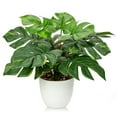 Artificial Monstera Plant Faux Monstera Deliciosa Plant Potted Fake ...