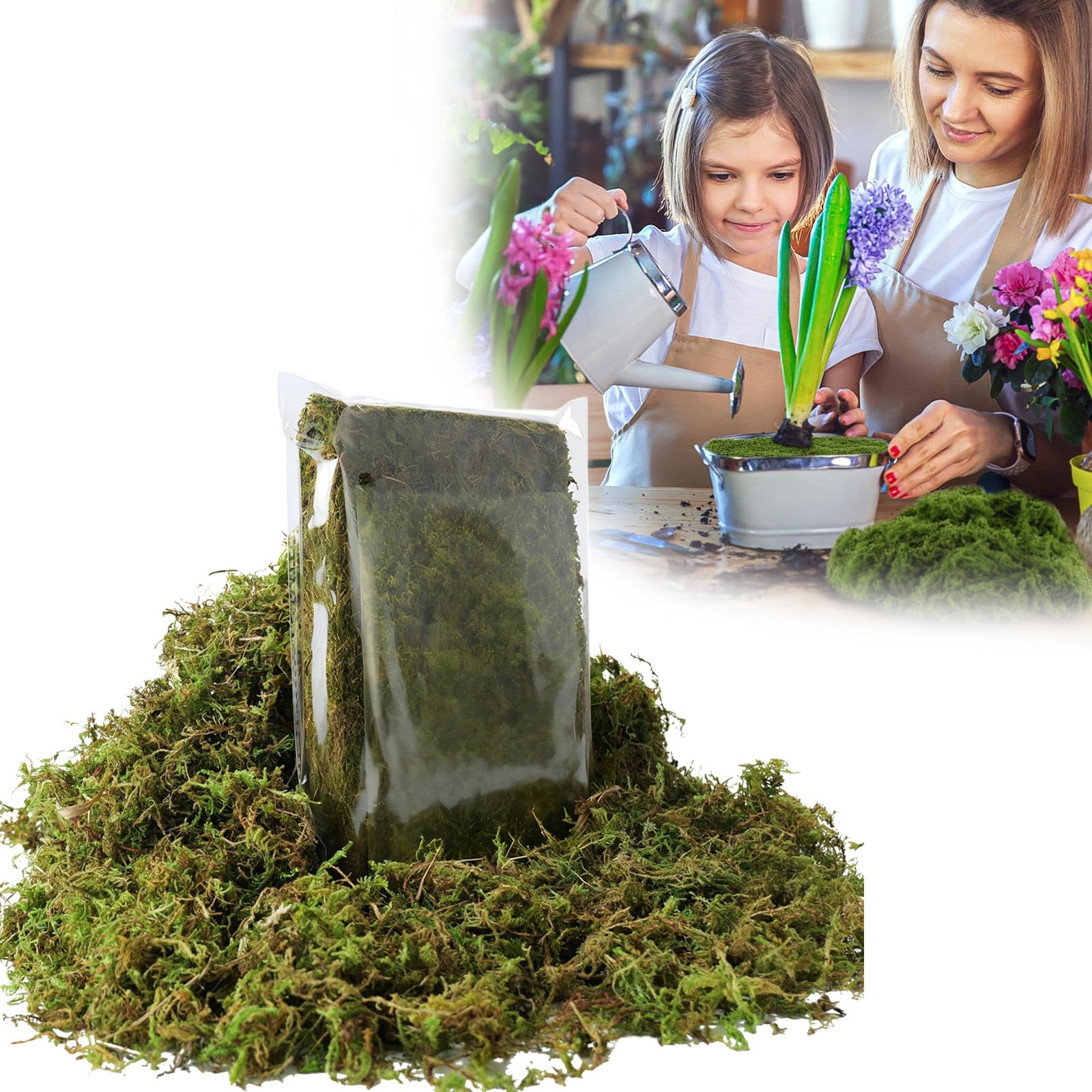Artificial Moss,4oz (150g) Does Not Require Light Water Soil And ...