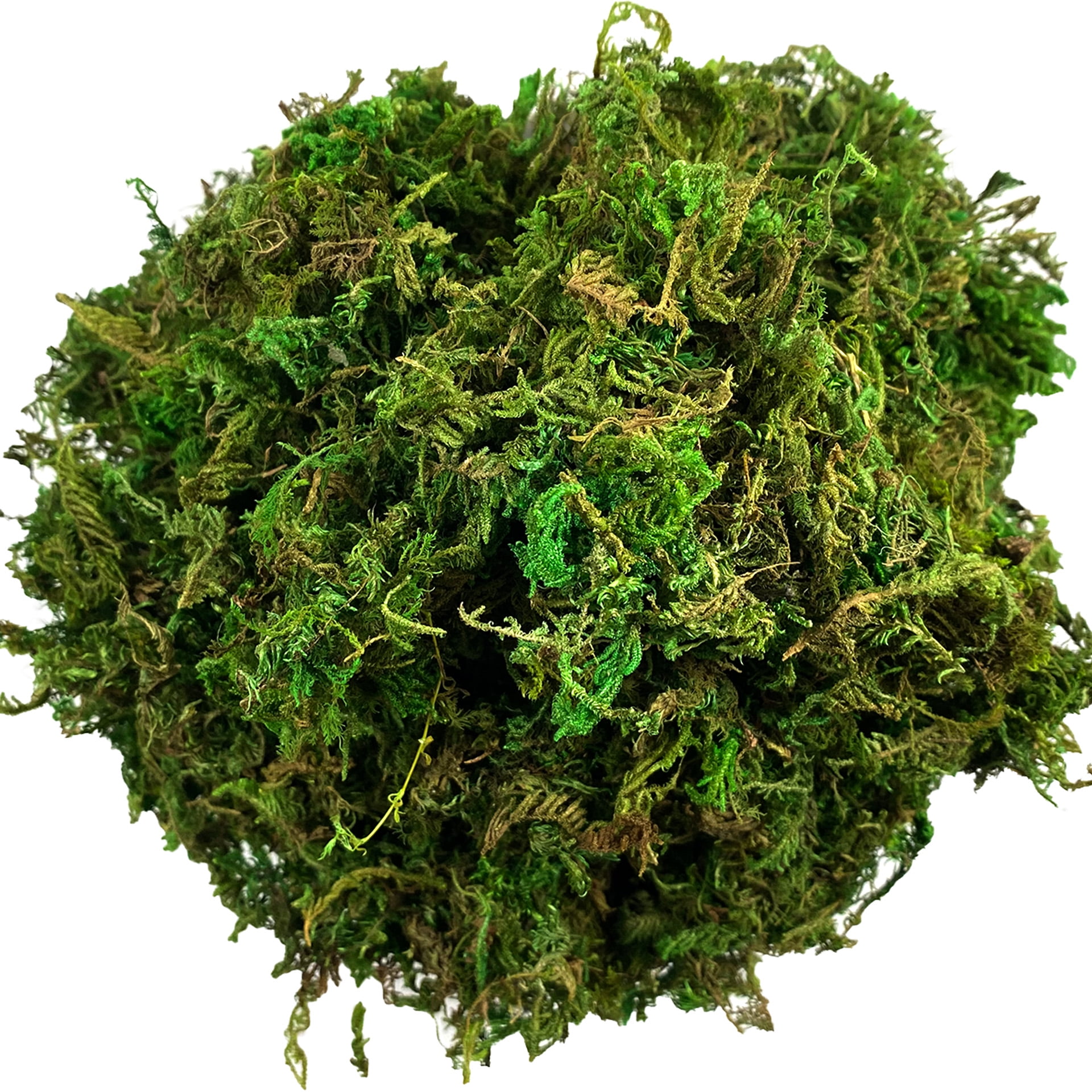 Artificial Moss Green for Potted Plant Orchid Potting Mix Peat Moss ...