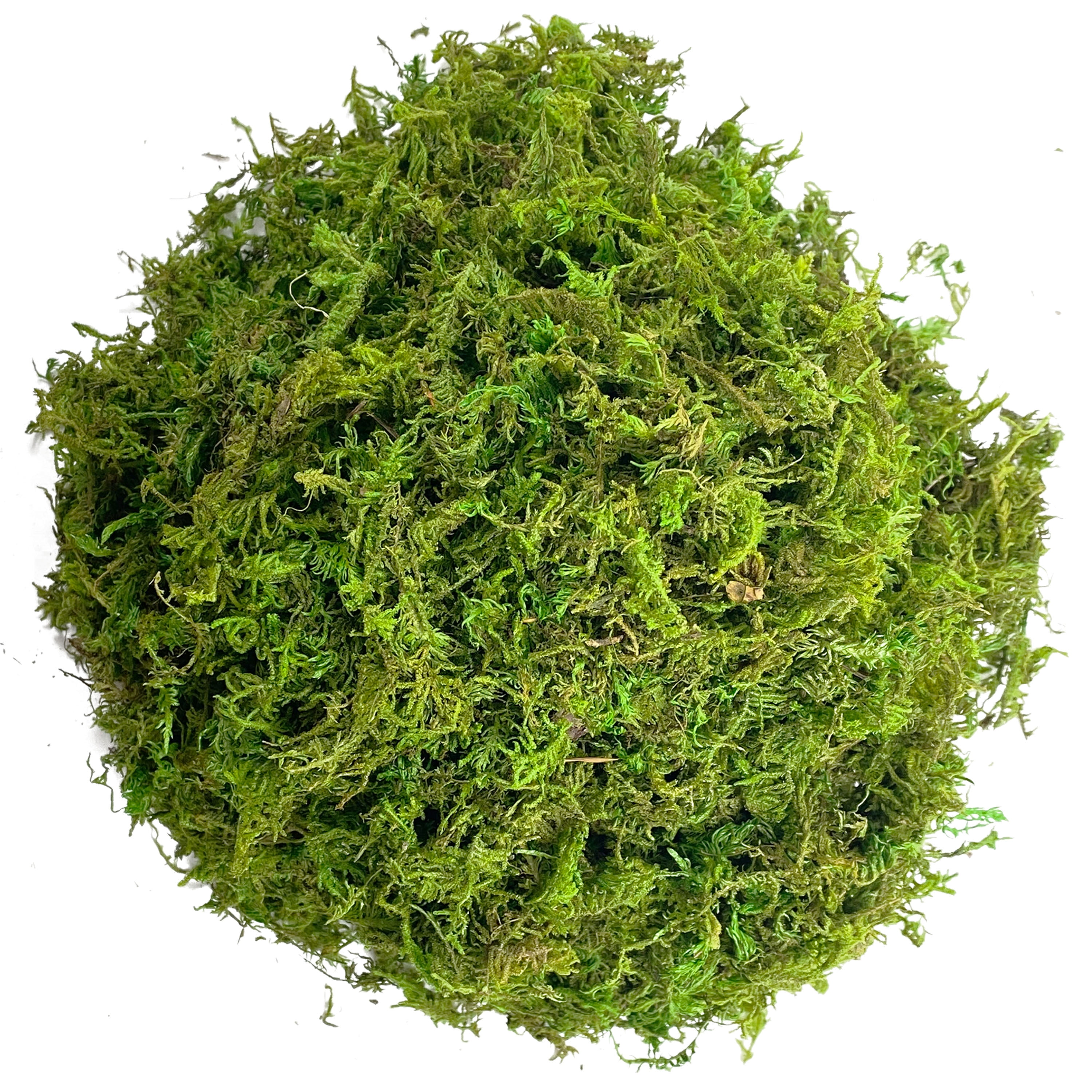 Artificial Moss Green for Potted Plant Orchid Potting Mix Peat Moss ...