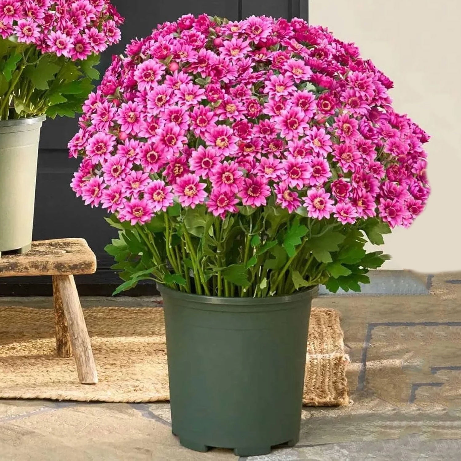 Artificial Mums for Outdoors, 5/10/15/25 Bundles Artificial Sunset ...