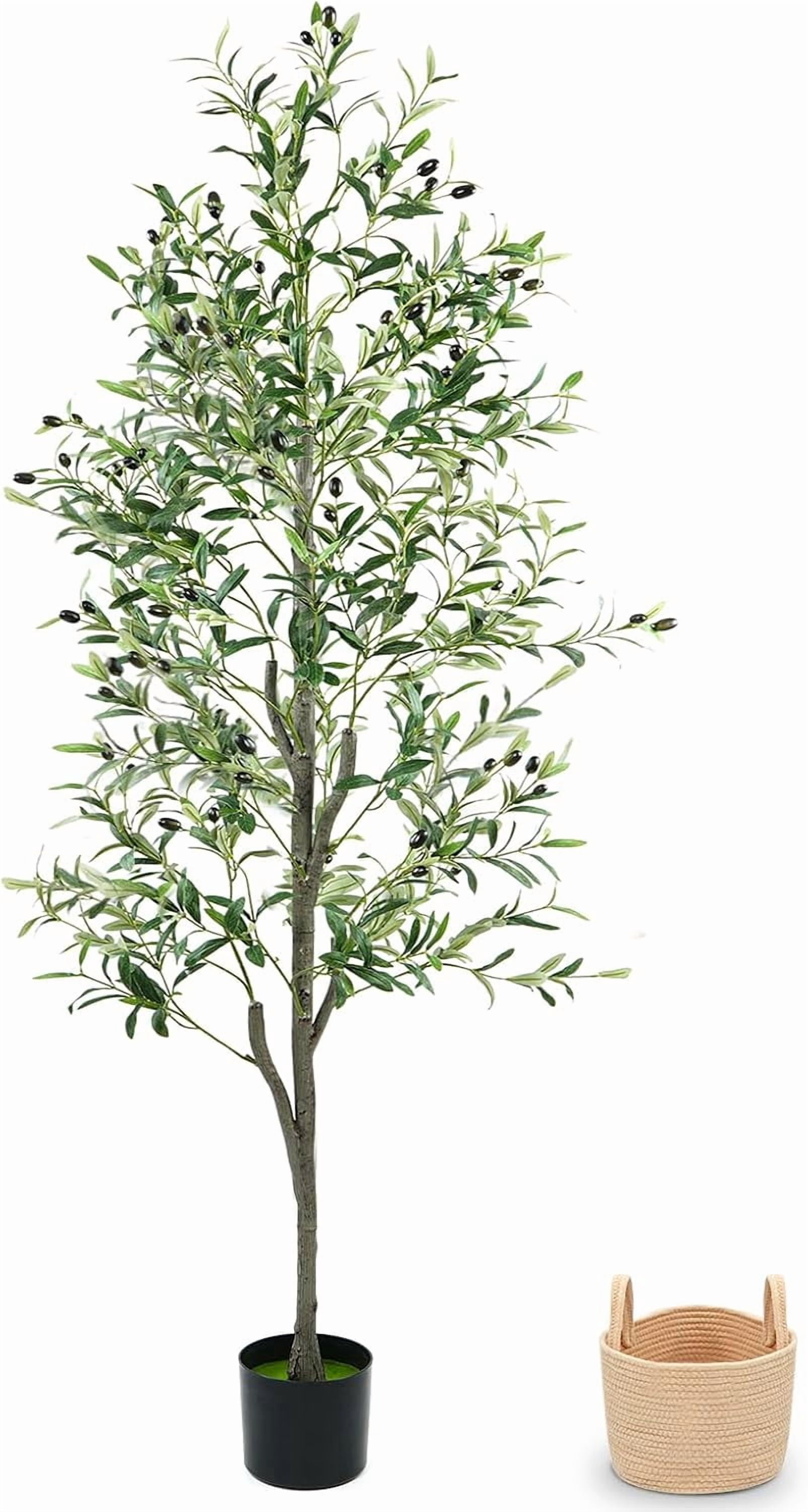 Artificial Olive Tree 6ft with Woven Basket and Natural Wood Trunk ...