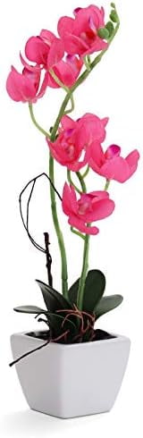 Artificial Orchid - Fake Orchid Plant with Real Touch Hot Pink Flowers ...
