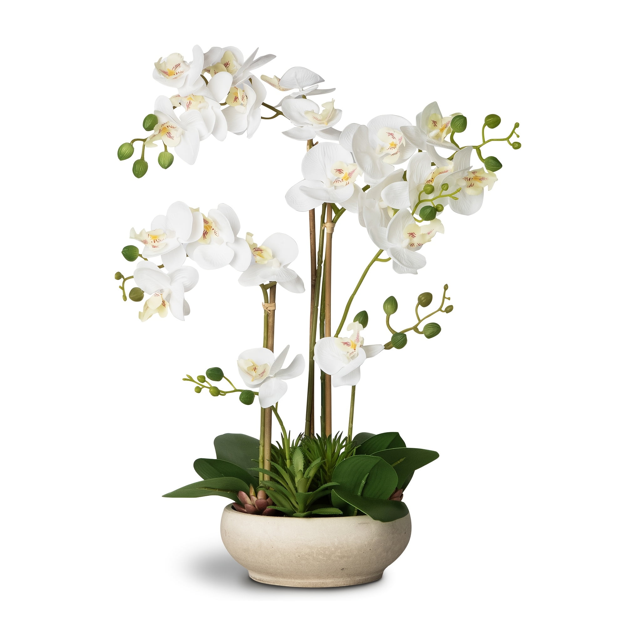 Artificial Orchid Flowers Potted In Ceramic Pot, Best for Christmas ...