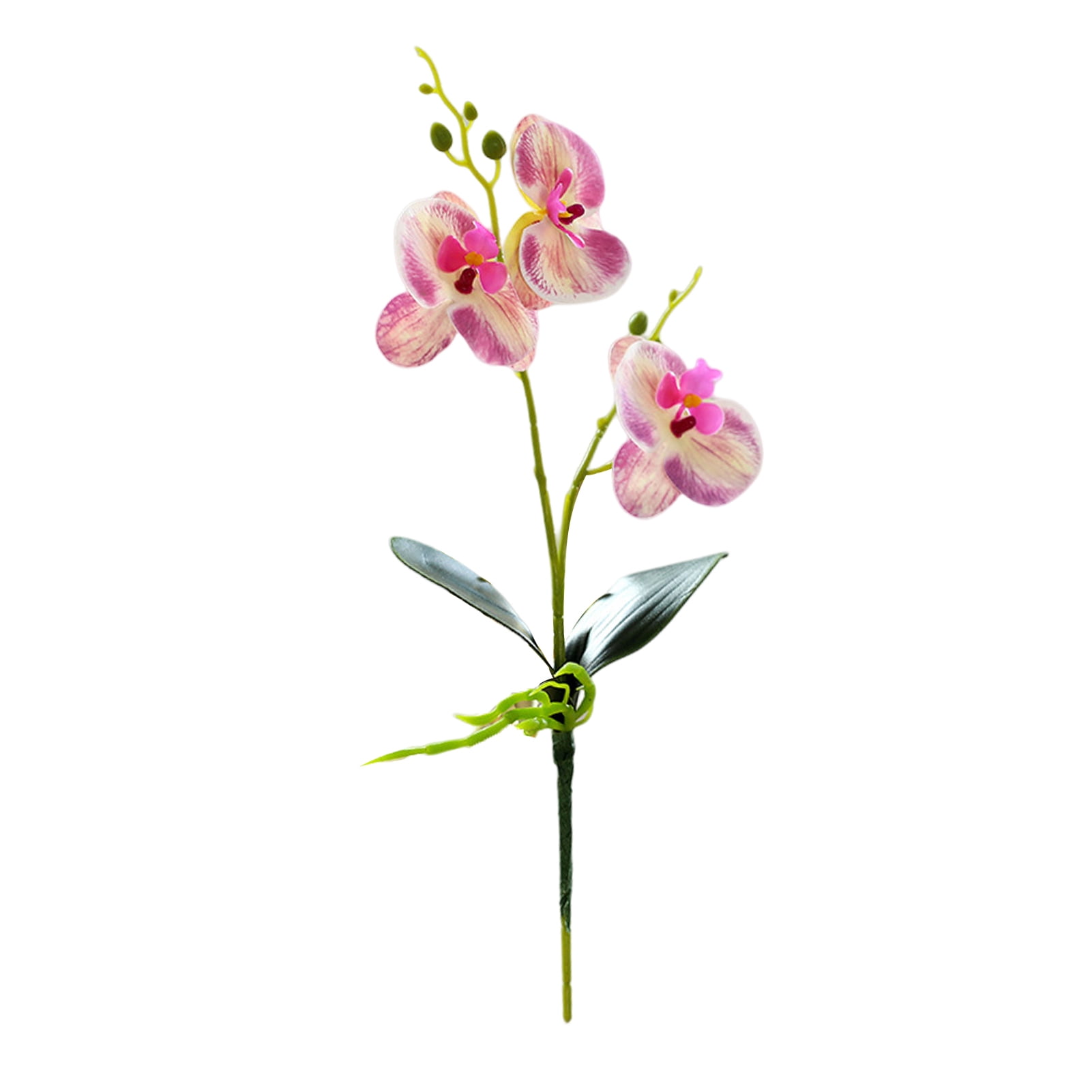 Artificial Orchid Stems Real Touch Orchid Fake Butterfly Phalaenopsis ...