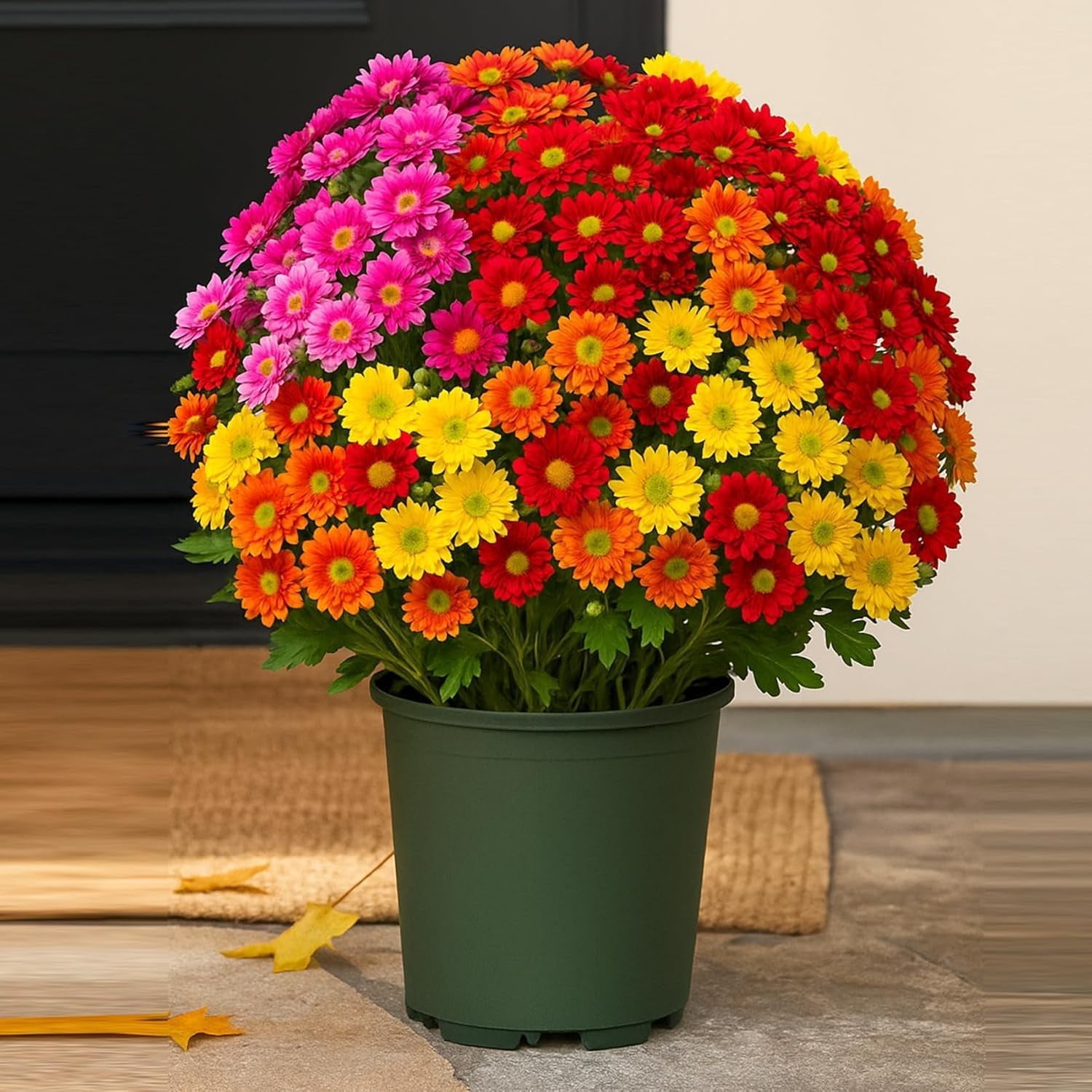 Artificial Outdoor Sunset Mums Flowers - UV Resistant, Waterproof ...