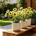Artificial Pansy Flowers Silk Fake Flowers for Wedding Home Decor Hotel ...