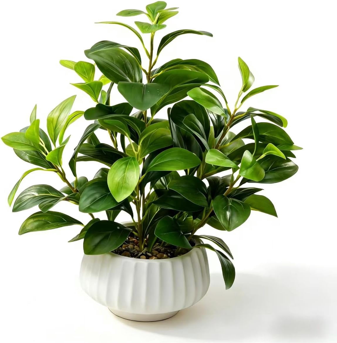 Artificial Peperomia Plants 16.5” Tall Lifelike Faux Greenery in 6 ...