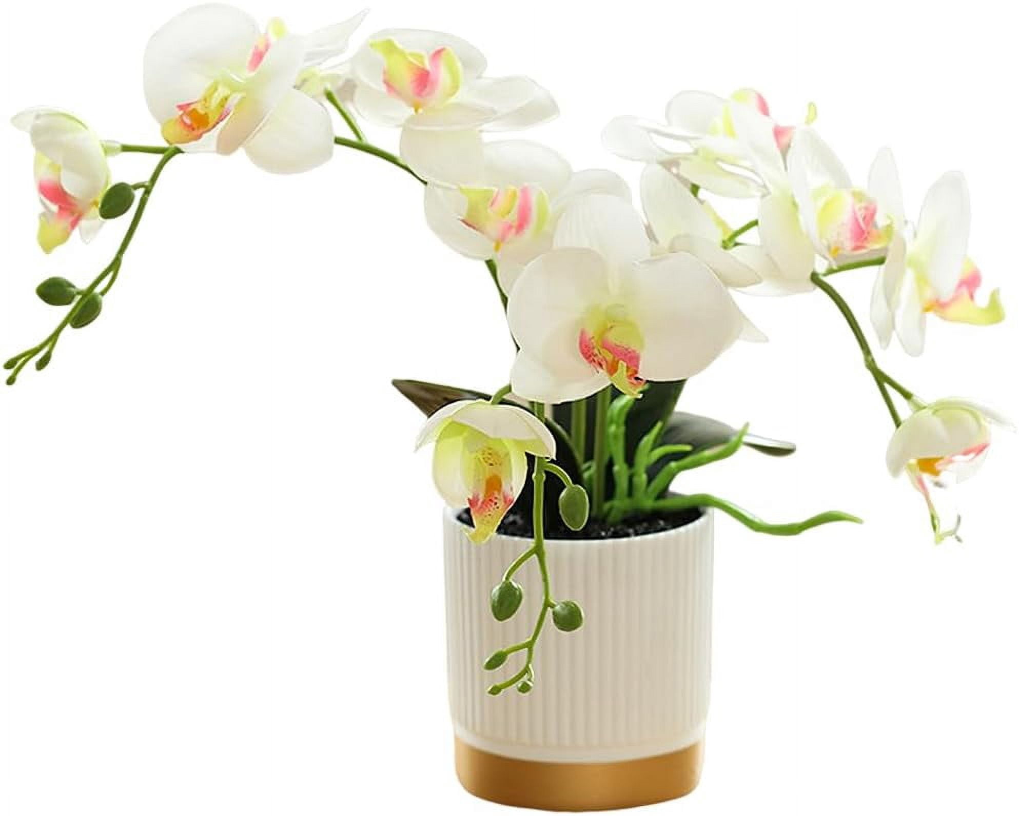 Artificial Phalaenopsis, 33cm Artificial Faux Orchid Arrangement with ...