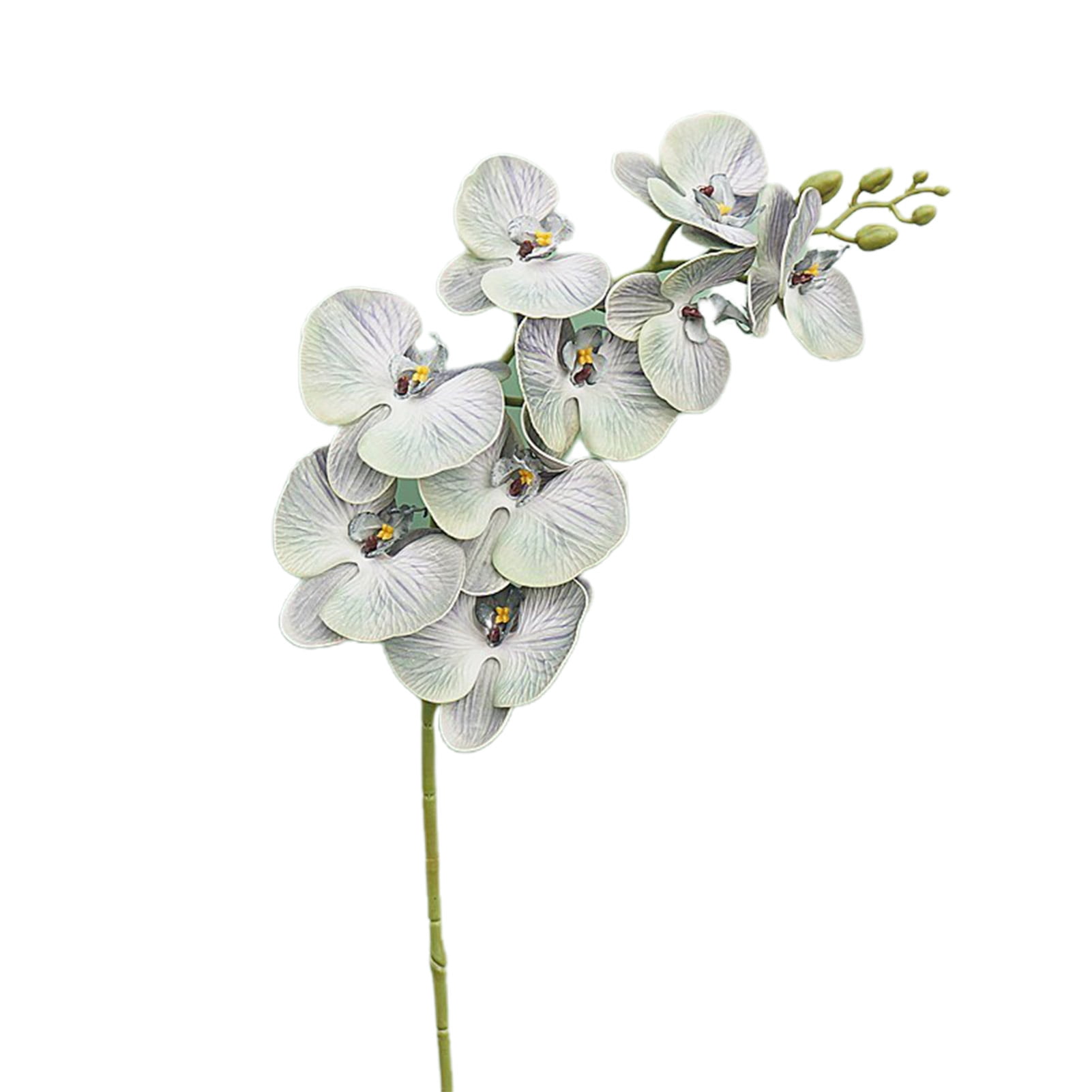 Artificial Phalaenopsis, Butterfly Orchid Silk Flowers Without Vase ...