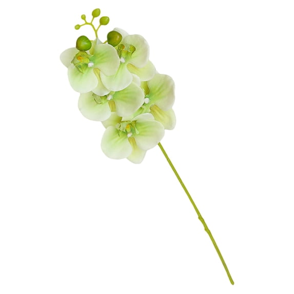 Artificial Phalaenopsis Flowers 1 Pcs Artificial Orchid Flowers Stem ...
