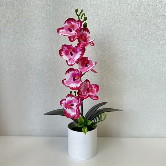 Artificial Phalaenopsis Orchid Potted Plant Set - 7 Spring & Summer ...