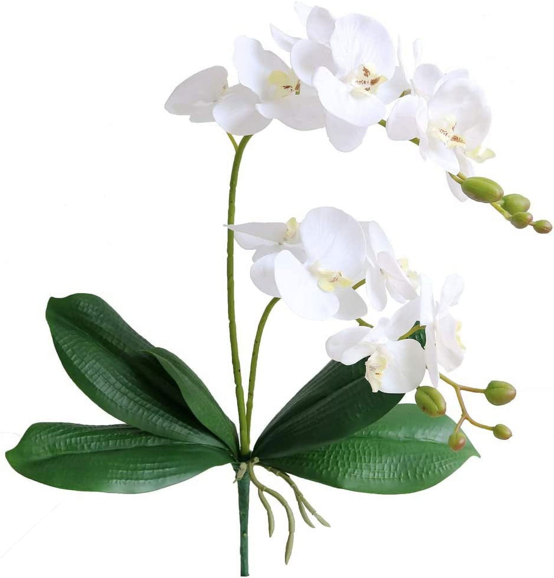Artificial Phaleanopsis Flowers Fake Orchids Leaves Branches for Home ...