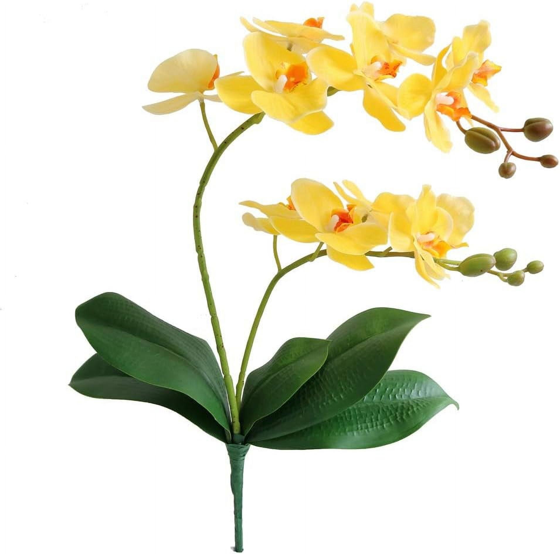 Artificial Phaleanopsis Flowers Fake Orchids Leaves Branches for Home ...