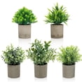 Artificial Pine & Tropical Plant Set Potted Faux Greenery For Indoor ...