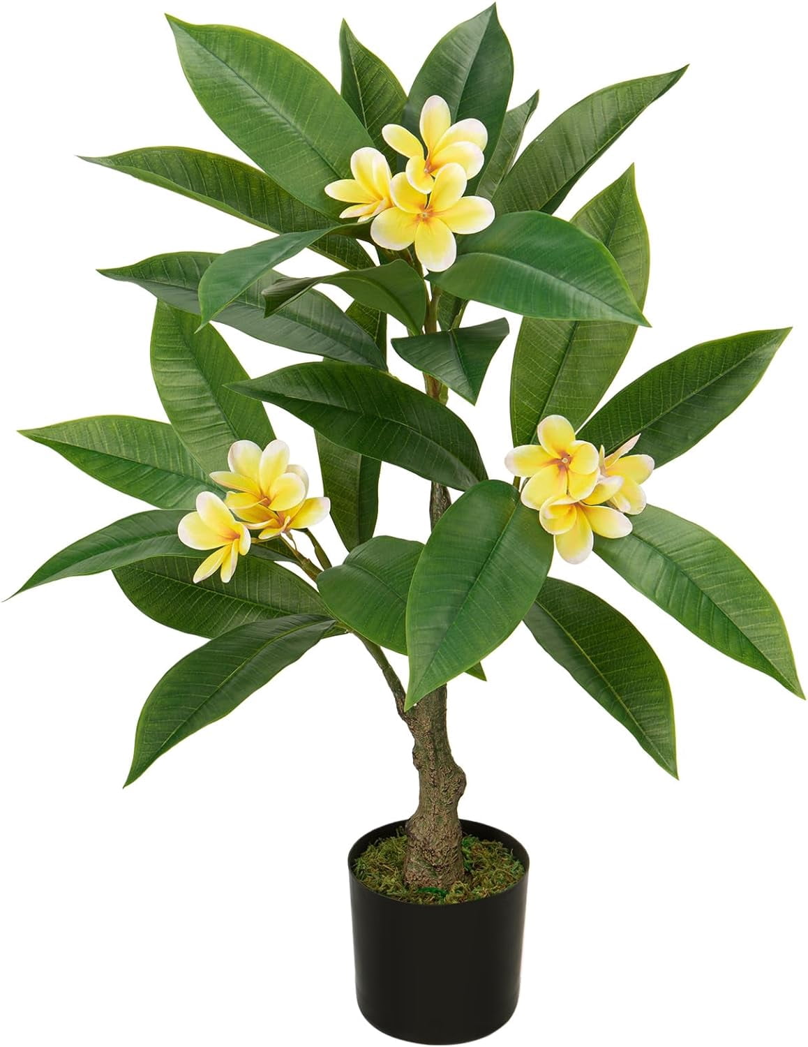 Artificial Plants Indoor 26.77'' Fake Tropical Plumeria Flowers Tree ...