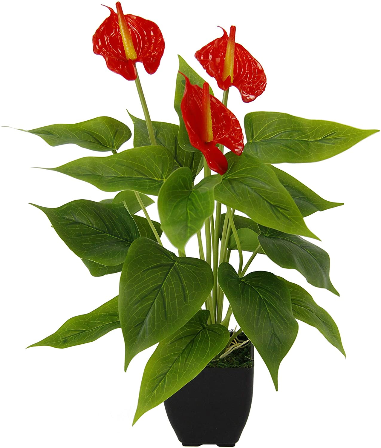 Artificial Potted Anthurium Plant Exotic Anthurium Flamingo Flower ...