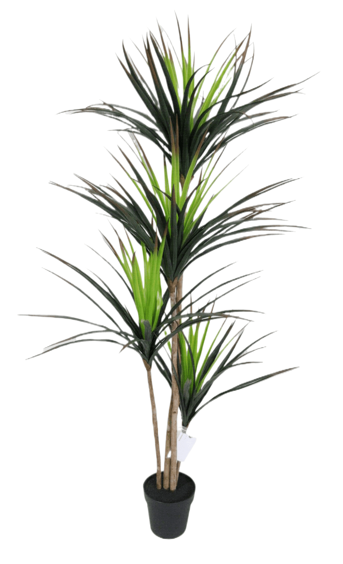 Artificial Potted Dracaena Marginata Tree 67in - Walmart.com
