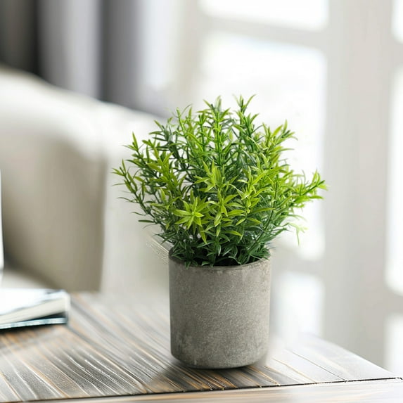 Artificial Potted Plant | Realistic Faux Green Succulent in Plastic Pot ...