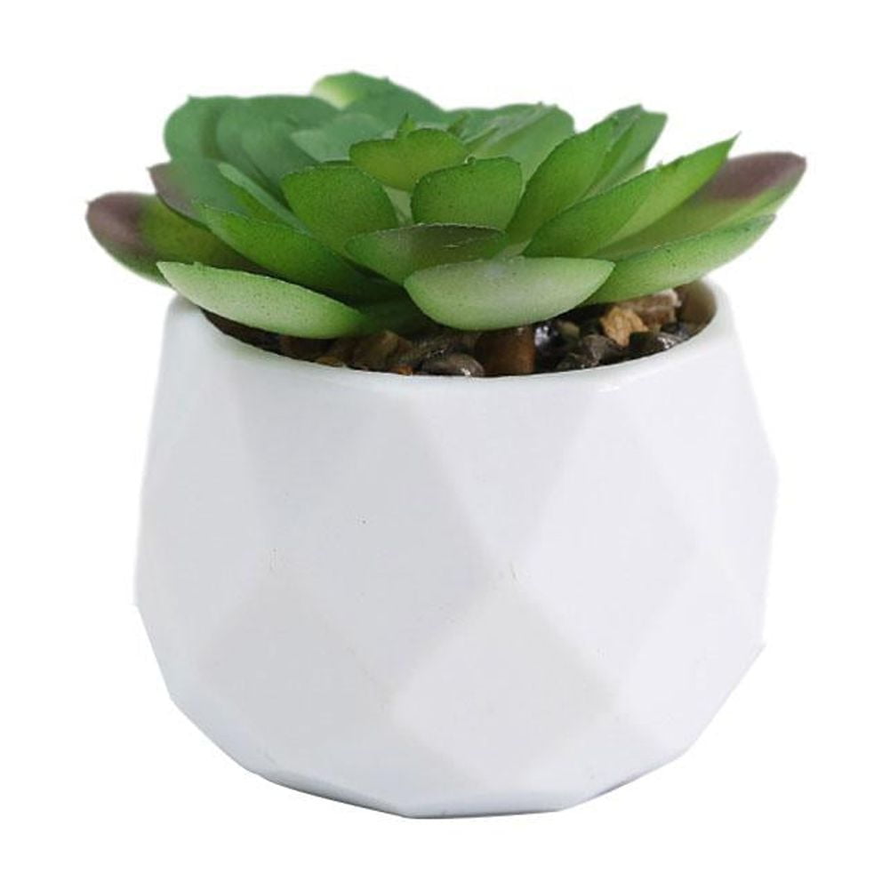 Artificial Potted Plant Succulent Pot Small Faux Fake Cacti InOutdoor ...