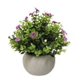 Artificial Potted Plant for Home Tabletop and Office Desk, Small Fake ...
