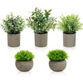 Artificial Potted Plants Large 5 Count Faux Greenery For Home Office ...