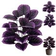 Artificial Purple Calathea Plant, Home Decoration, Decor Artificial ...