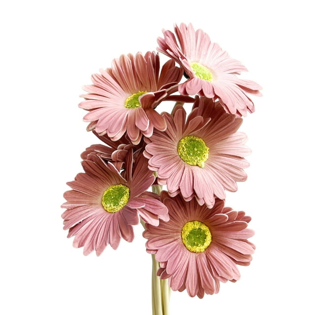 Artificial Real Touch Gerbera Barberton Daisy Stems (Set of 6 ...