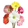 Artificial Real Touch Gerbera Barberton Daisy Stems (Set of 6 ...