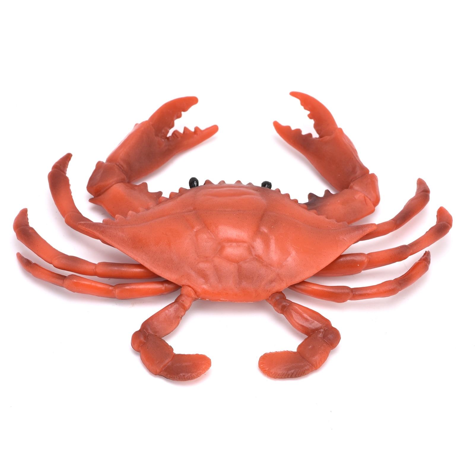 Artificial Realistic Crab Toy - Educational Learning Ocean Life Toys ...