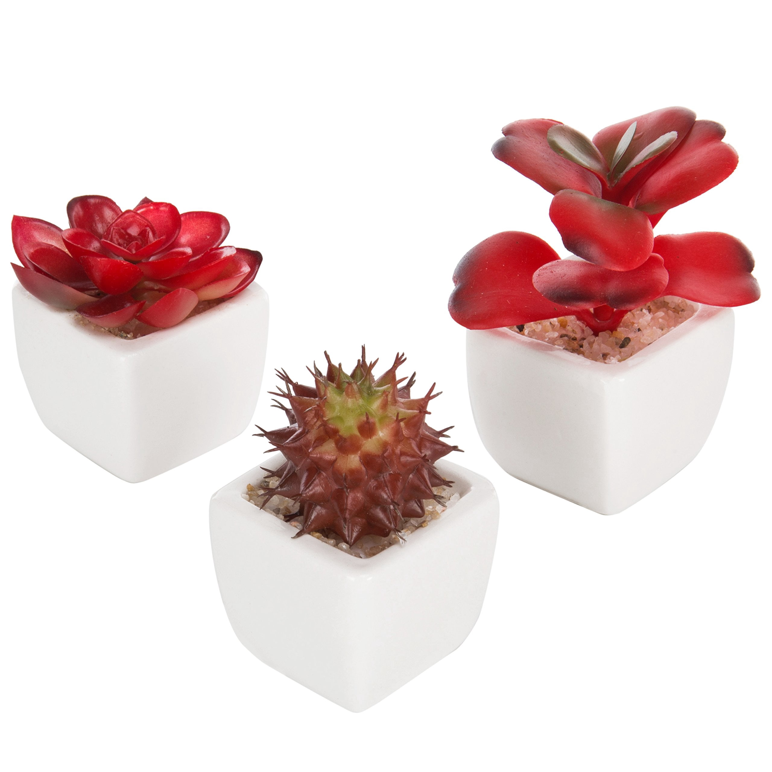 Artificial Red Succulent and Cacti Plants in White Square Pots Red (Set ...
