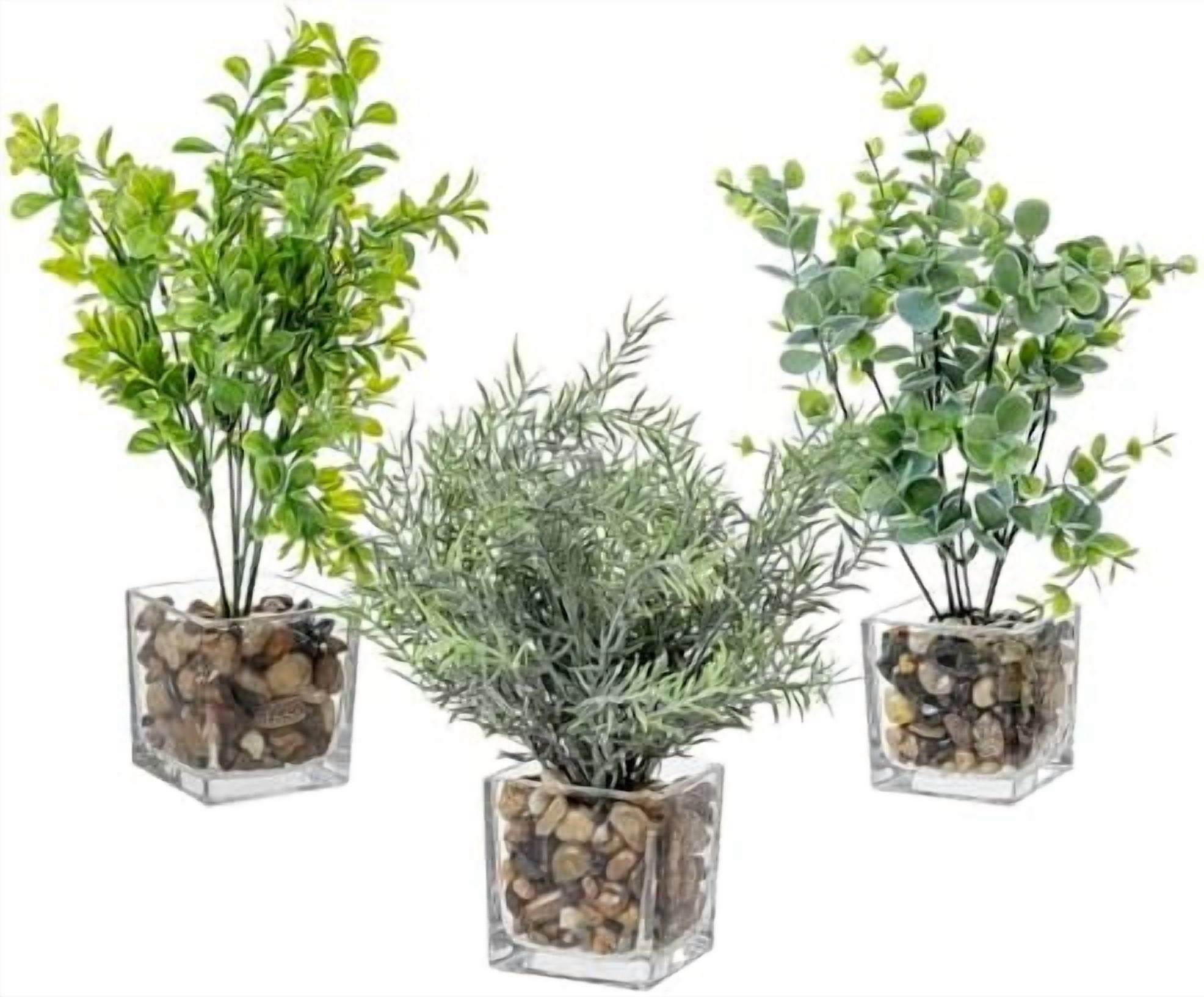 Artificial Rosemary Eucalyptus and Boxwood Plants Potted in Clear Glass ...