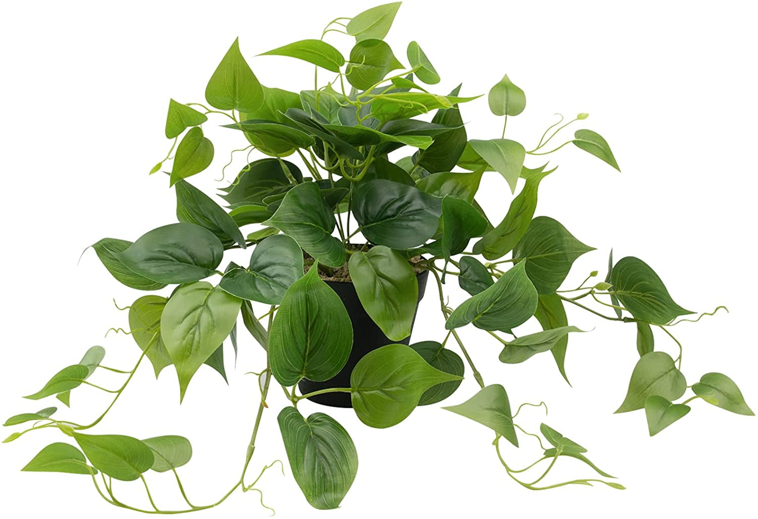 Artificial Scindapsus Aureus Fake Pothos Plants in Black Pots ...