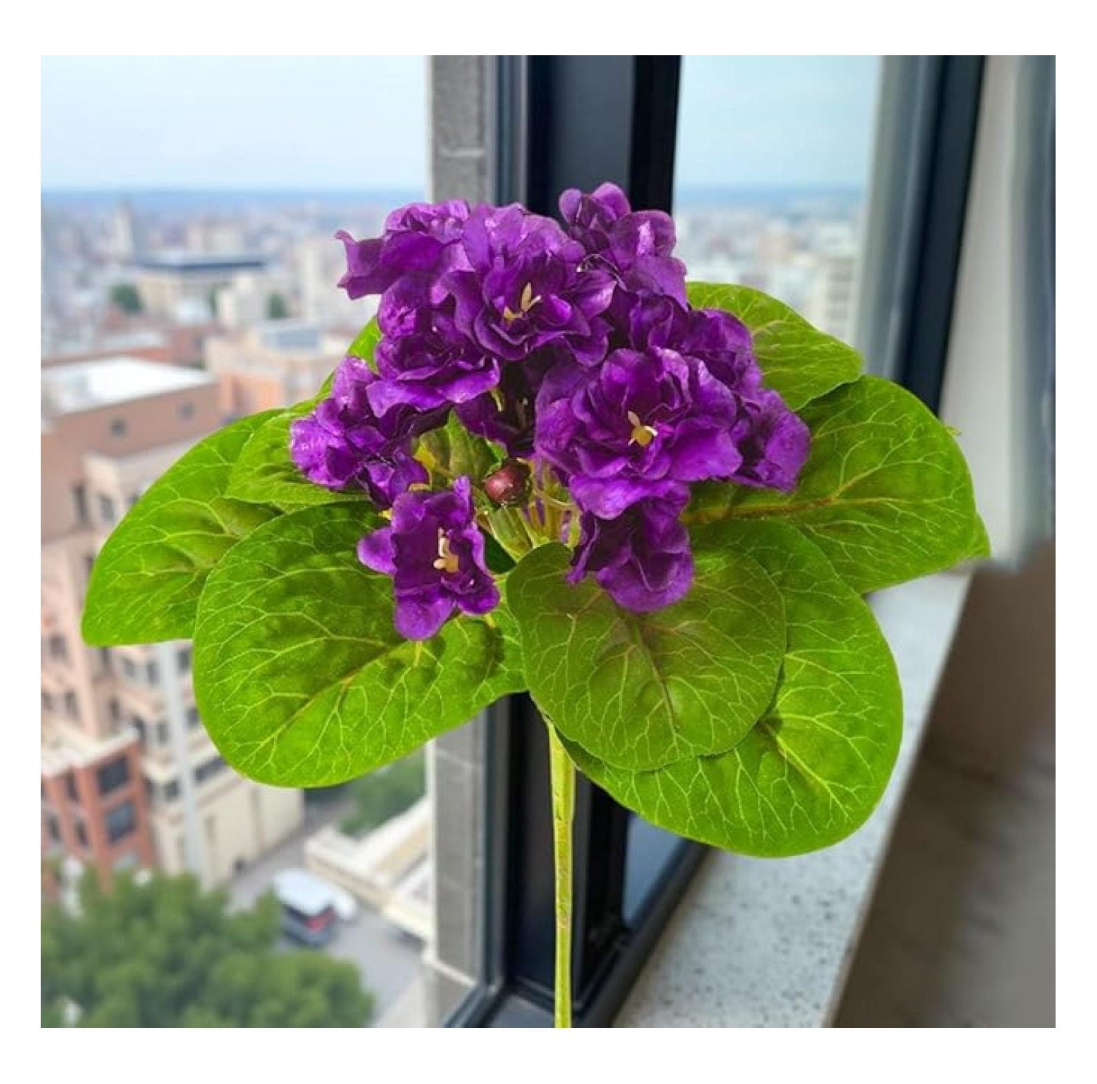 Artificial Semi-Miniature African () 8 Inch – Realistic Faux Flower for ...