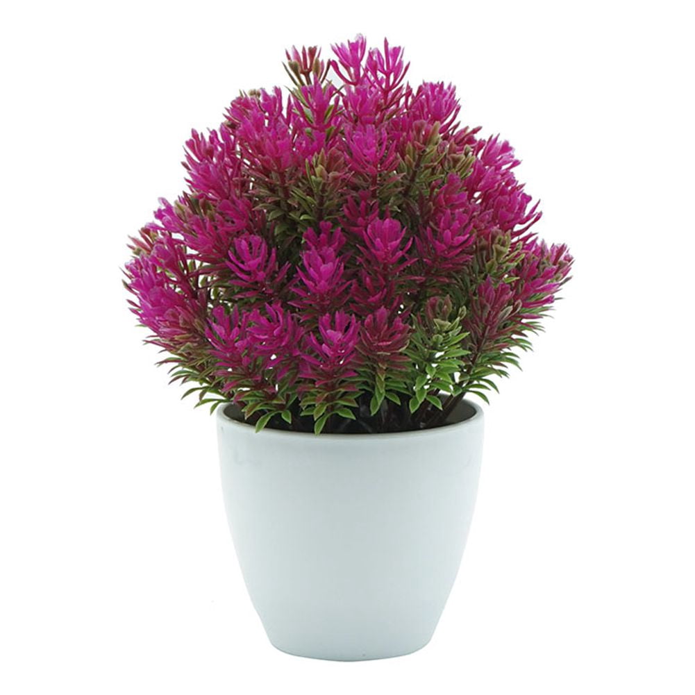 Pine Rose