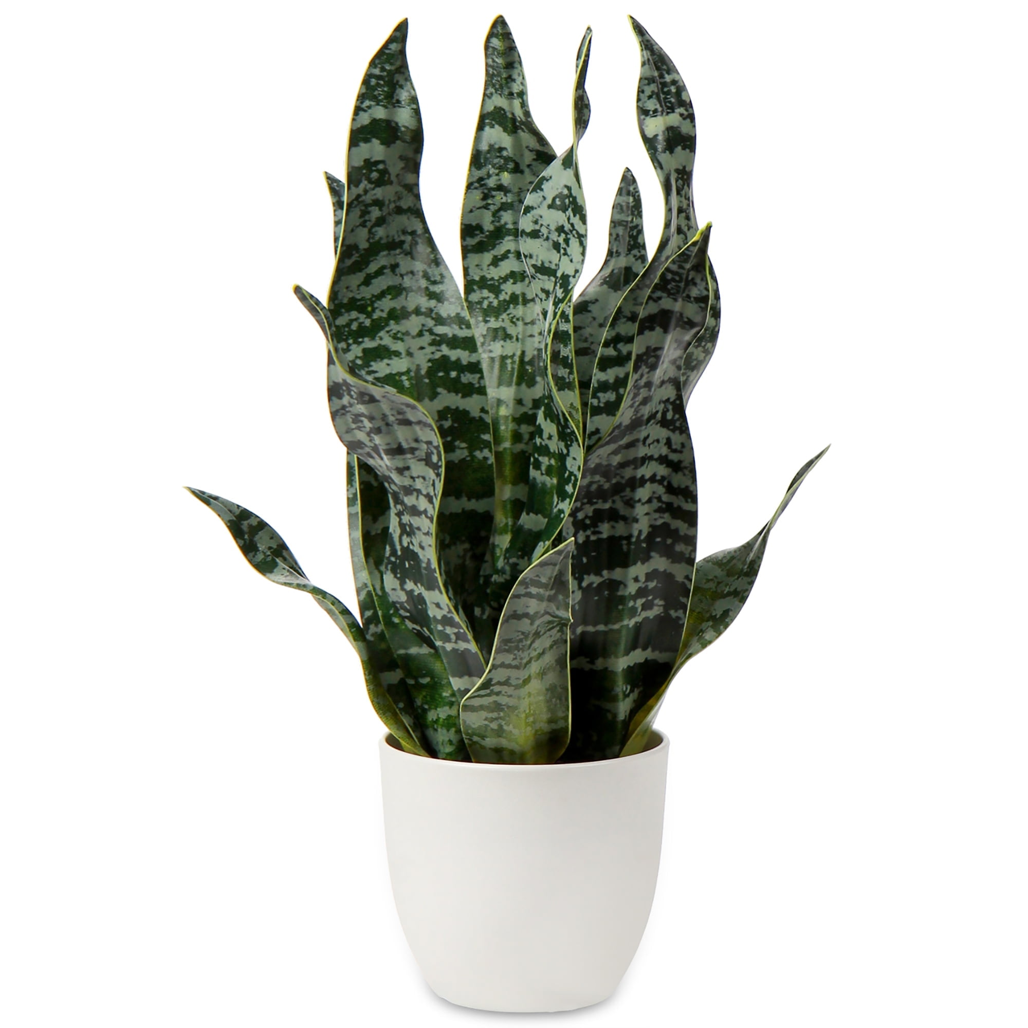 "Artificial Indoor House Snake Plant, Faux Sansevieria Trifasciata, 17 ...